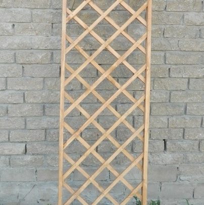 Diagonal Trellis