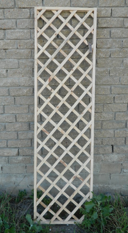 Diagonal Trellis
